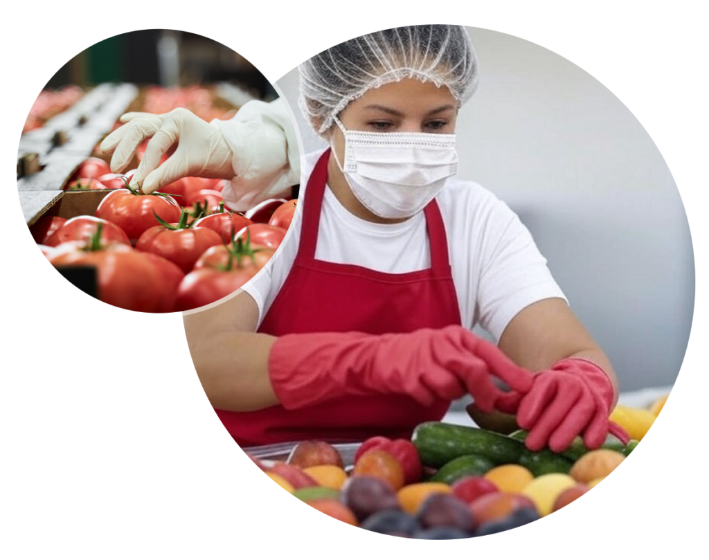 Fresh Produce Distributor for Schools & Districts San Antonio, Texas