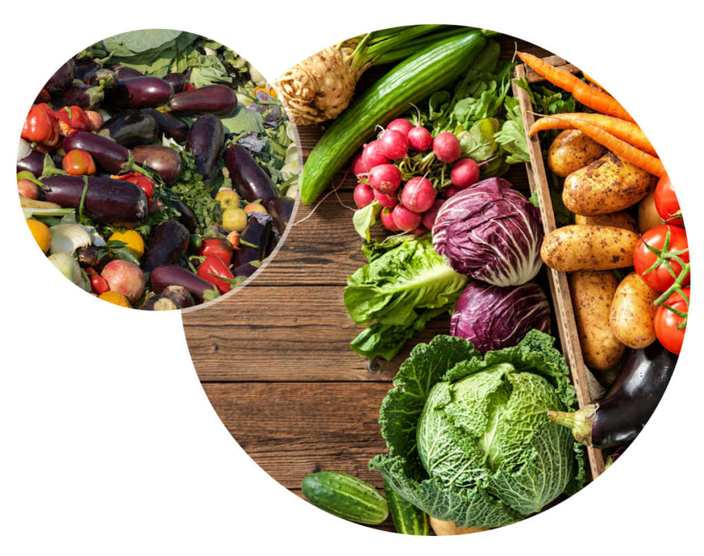 Salvage Loads of Fruits & Vegetables in San Antonio, TX